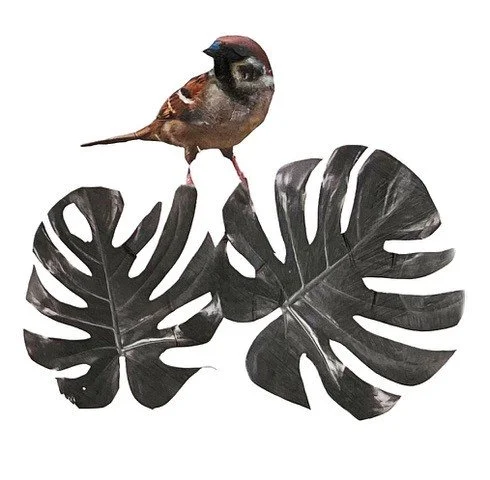 anke schofield — hidell brooks gallery