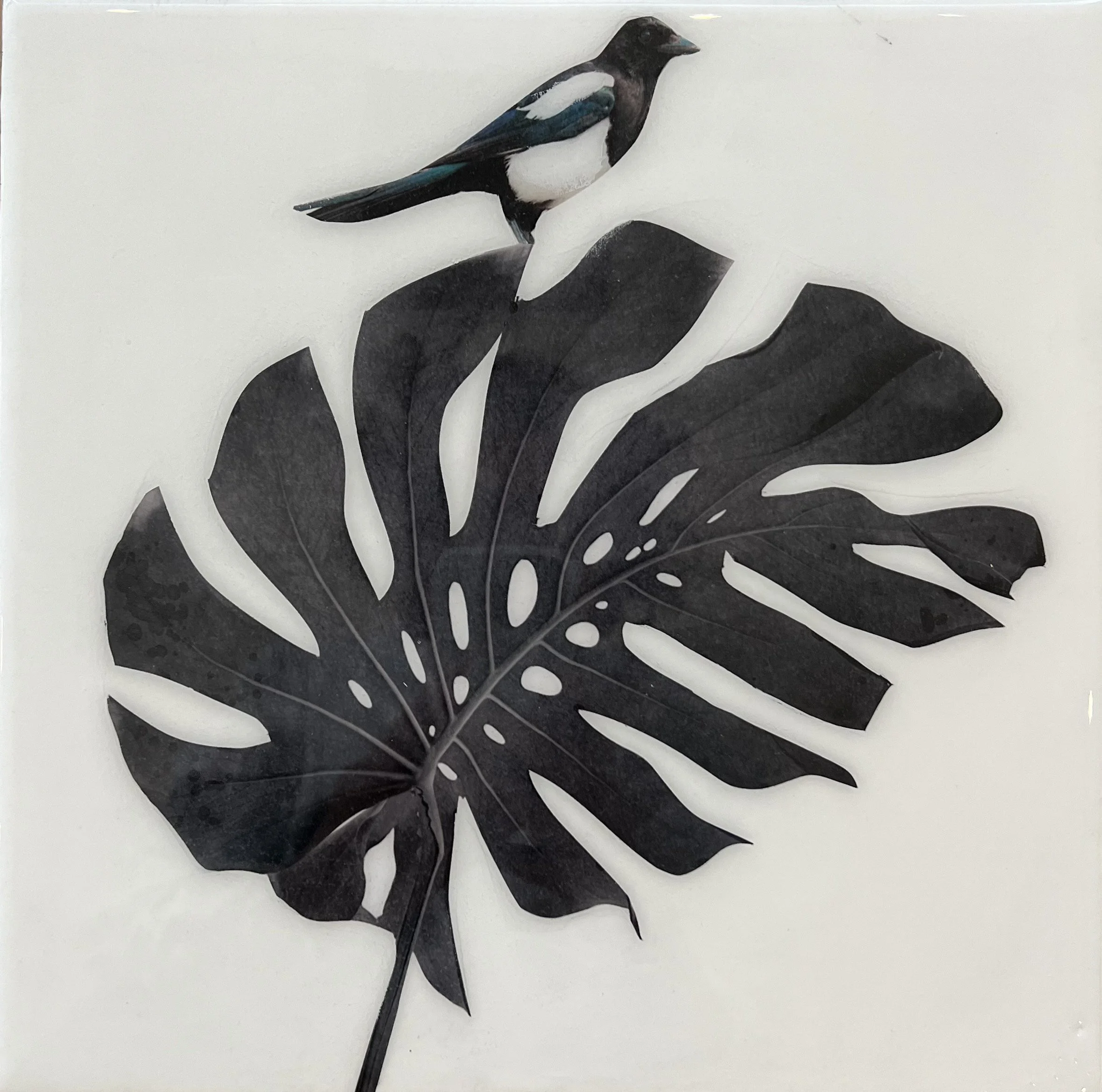 anke schofield — hidell brooks gallery