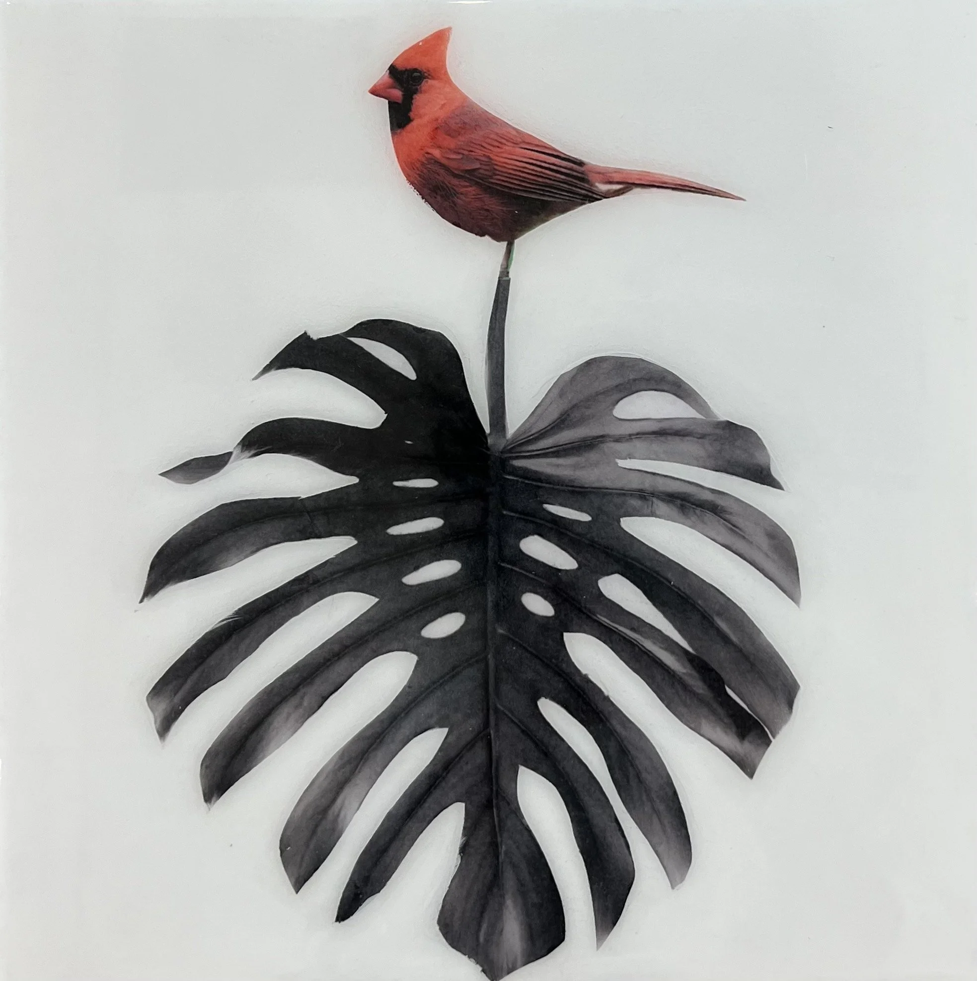 anke schofield — hidell brooks gallery