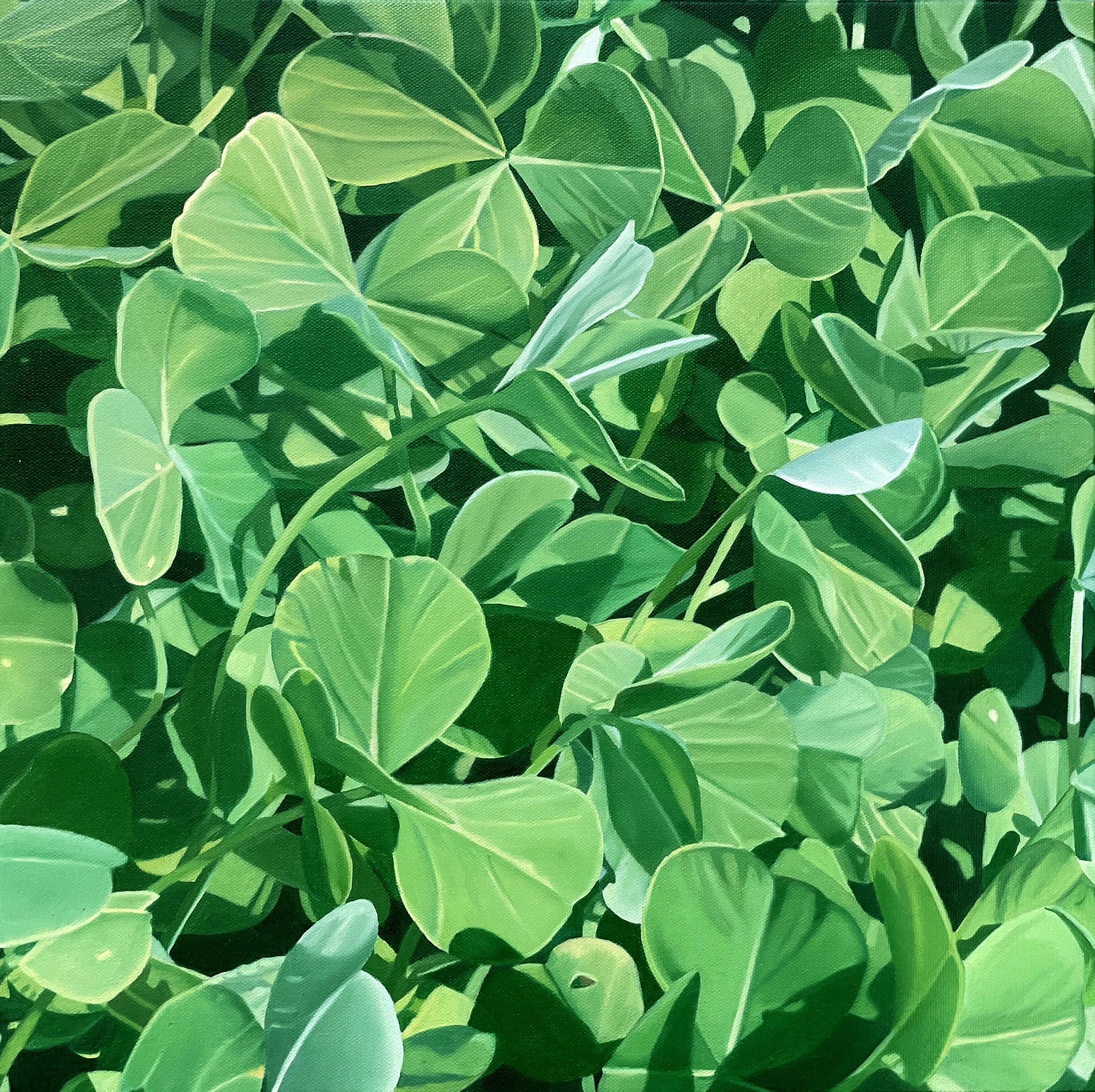 artists — hidell brooks gallery