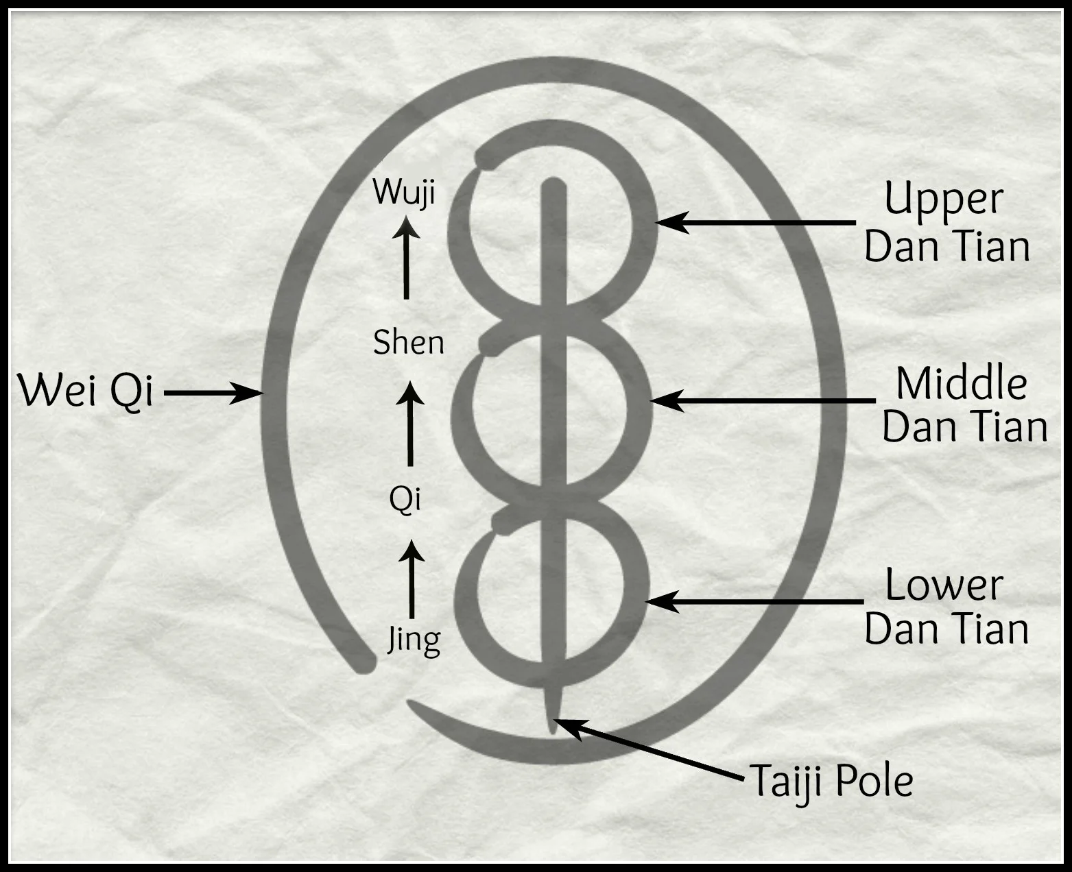 What does the THRIVE symbol mean? — Thrive Integrative Medicine