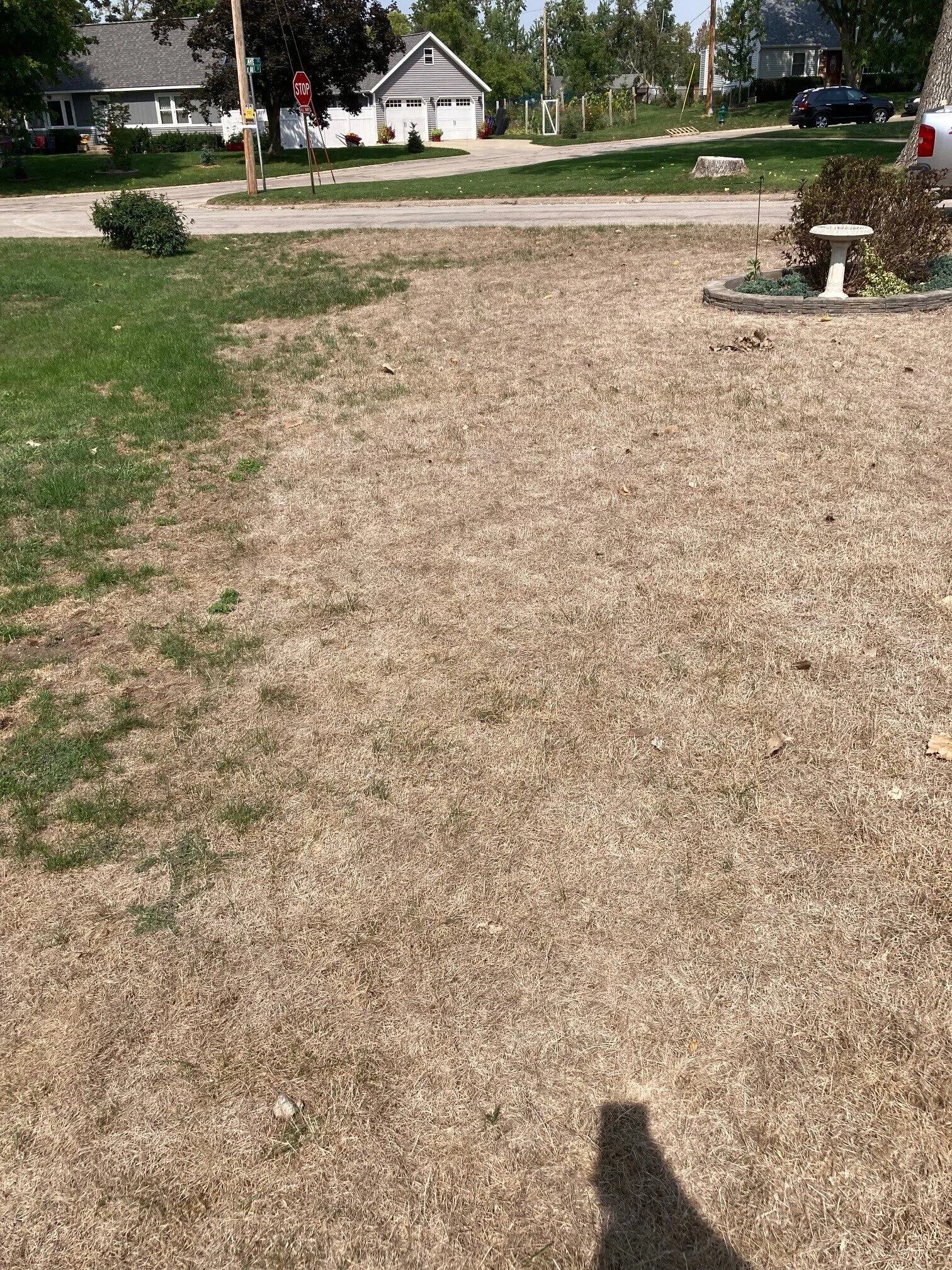 Blue Grass Enterprises-Fall Armyworms - A Rare Pest in Iowa | Elite Sod ...