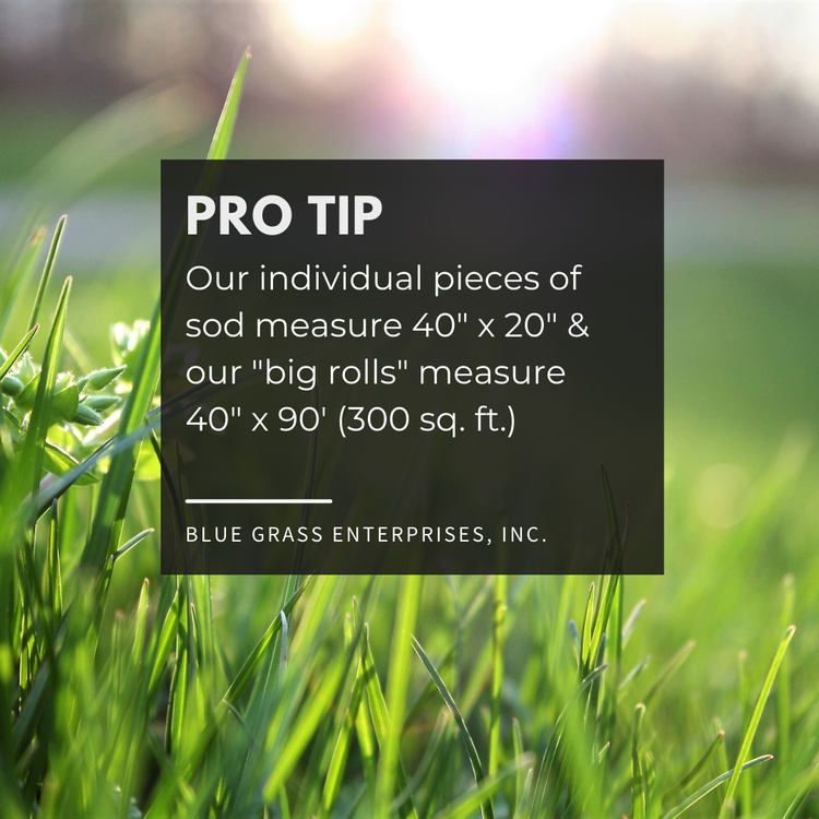 Blue Grass Enterprises-Installing Sod | Elite Sod, Lawn Fertilizer ...