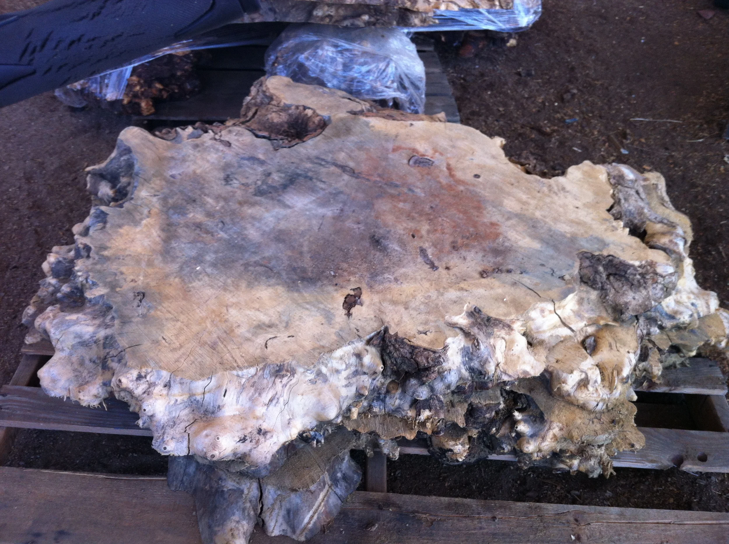 Witt Hardwoods California Buckeye Burl