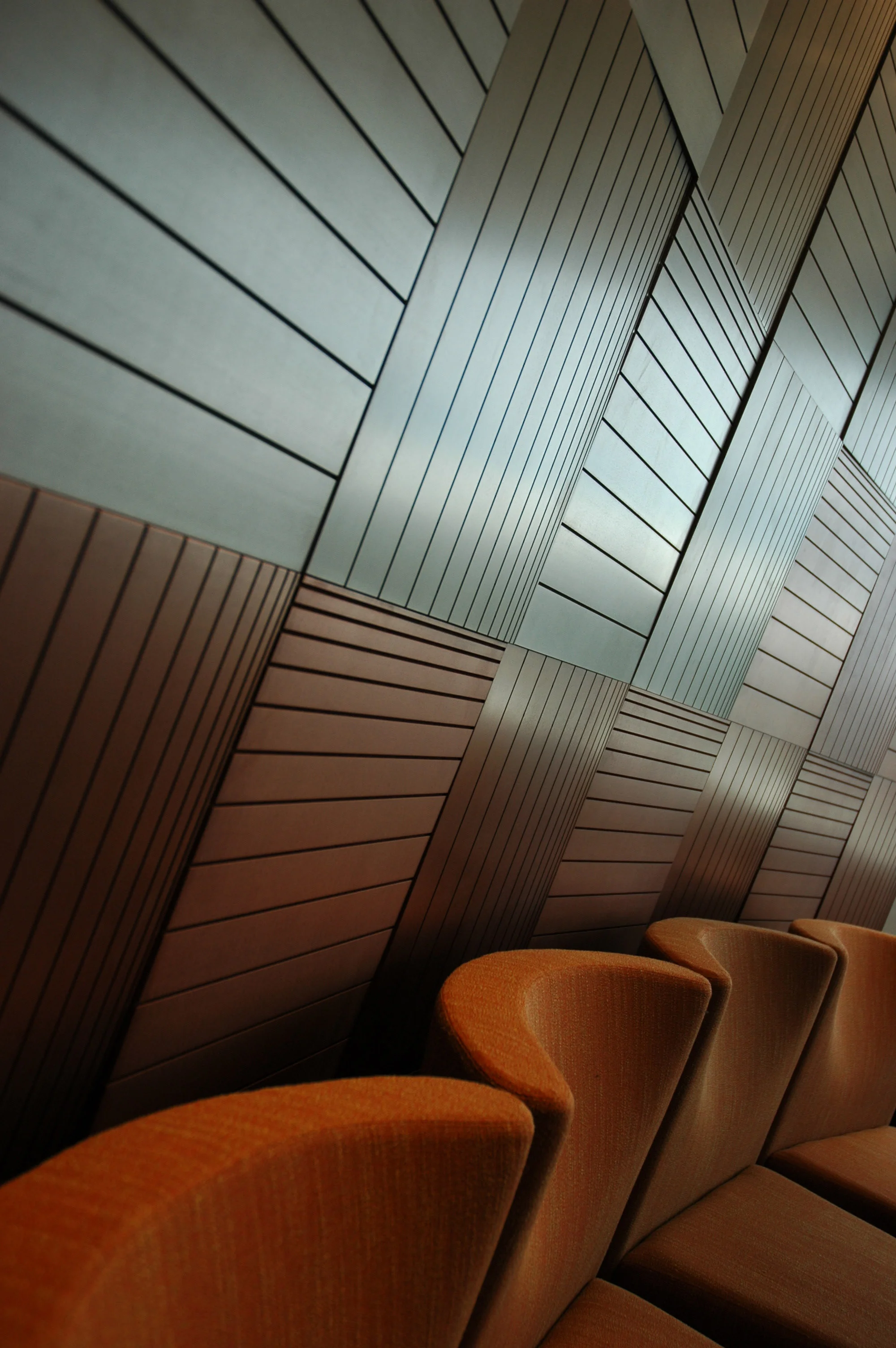 Feature walls — Axolotl