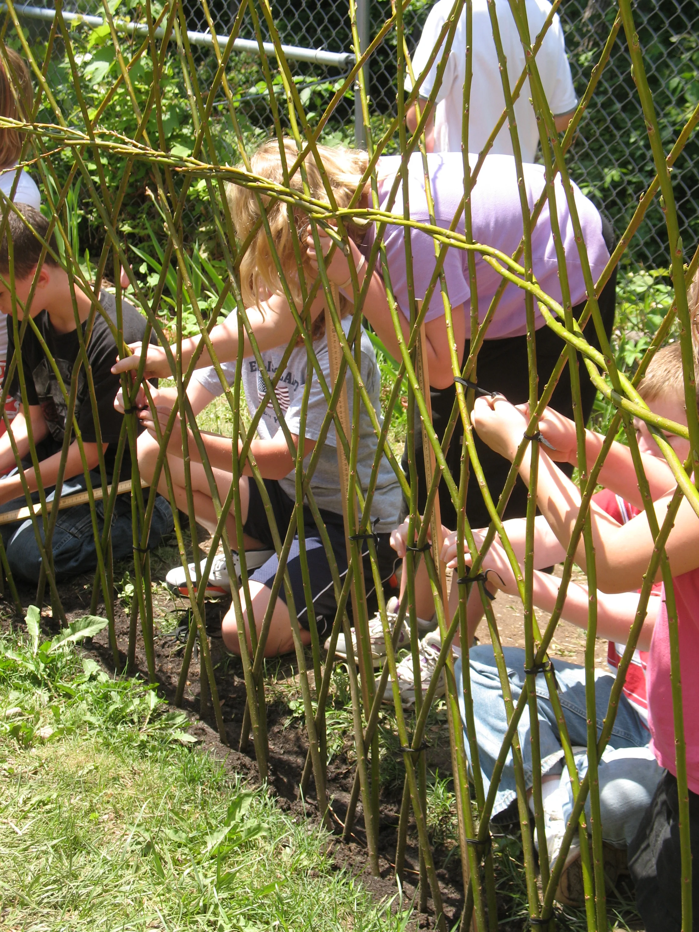 PROJECTS — Living Willow Structures by Bonnie Gale