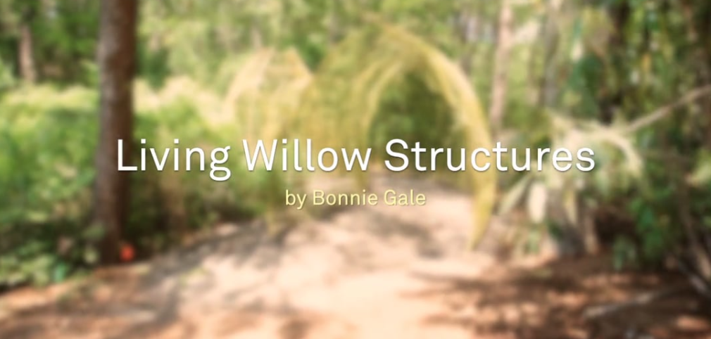 Living Willow Structures by Bonnie Gale