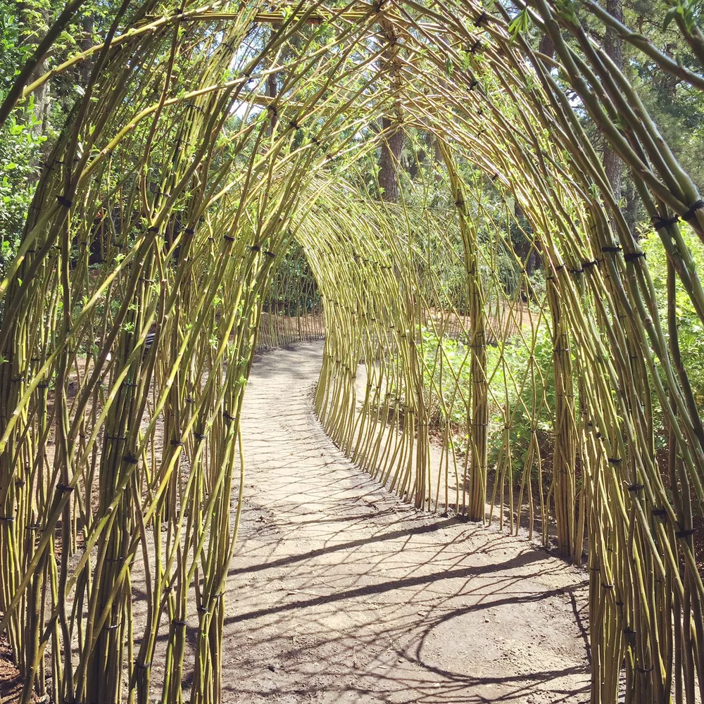 NEWS — Living Willow Structures by Bonnie Gale