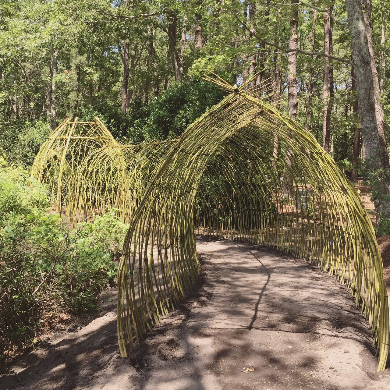 NEWS — Living Willow Structures by Bonnie Gale