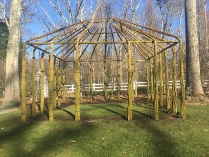 PROJECTS — Living Willow Structures by Bonnie Gale
