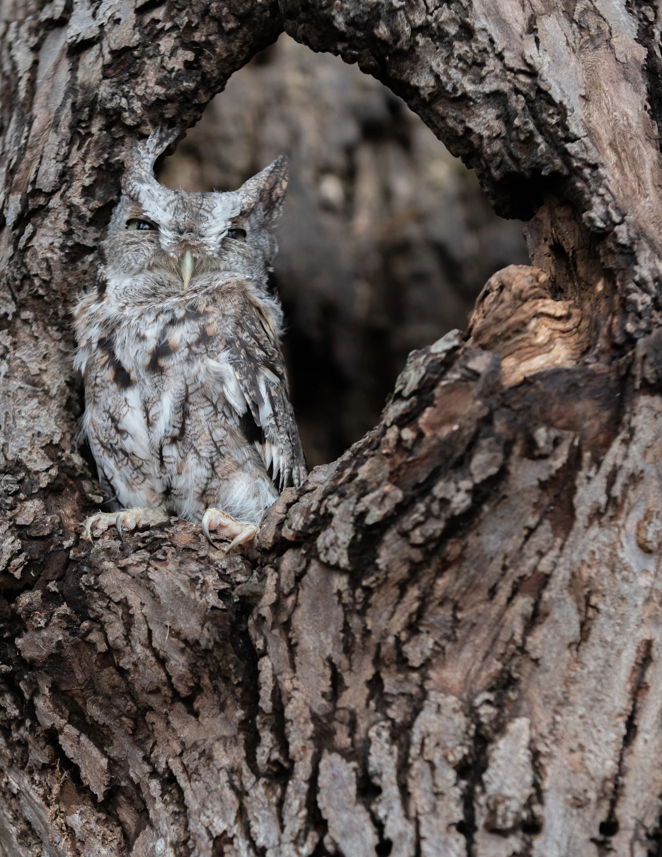 Blog — Muench Workshops