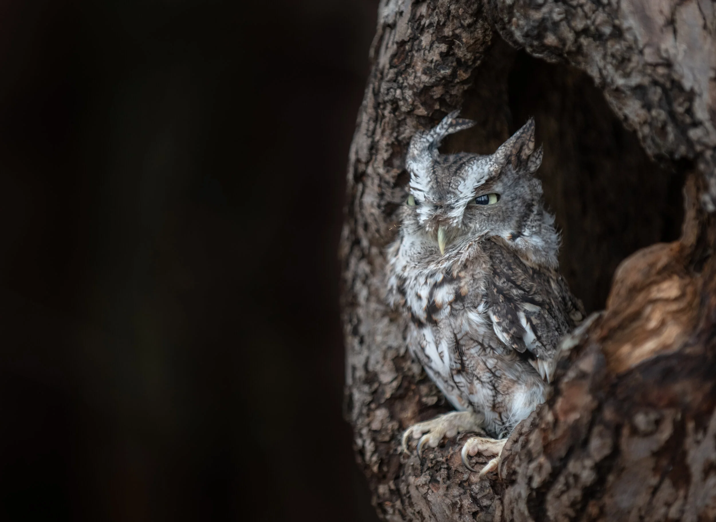 Blog — Muench Workshops