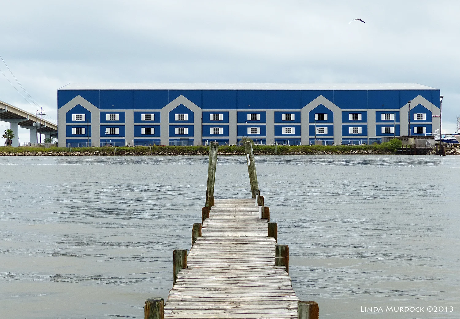 Surfside — Linda Murdock Photography