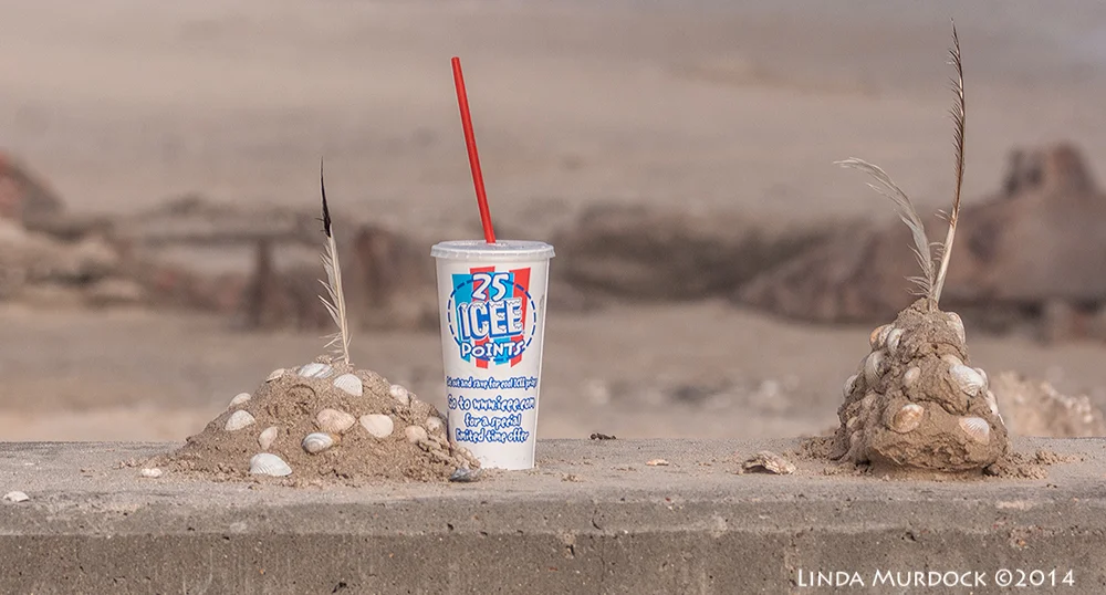 Stoned Birds and Other Weird Stuff — Linda Murdock Photography