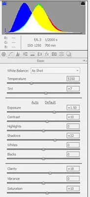 SOOC vs Image Editing — Linda Murdock Photography