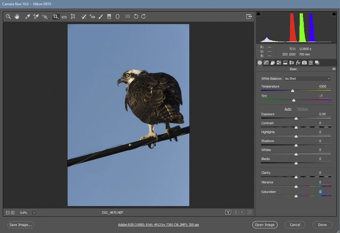 Let's Talk About Editing! — Linda Murdock Photography