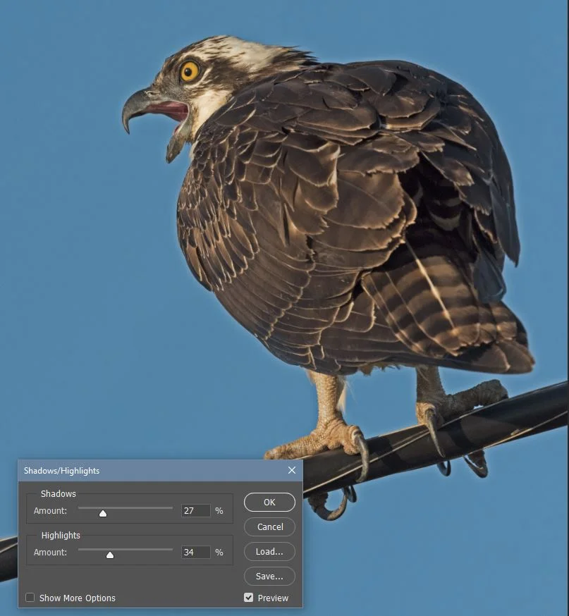 Let's Talk About Editing! — Linda Murdock Photography