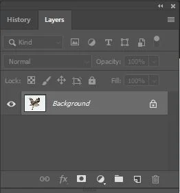 Fear of Photoshop - Layers and Selections — Linda Murdock Photography