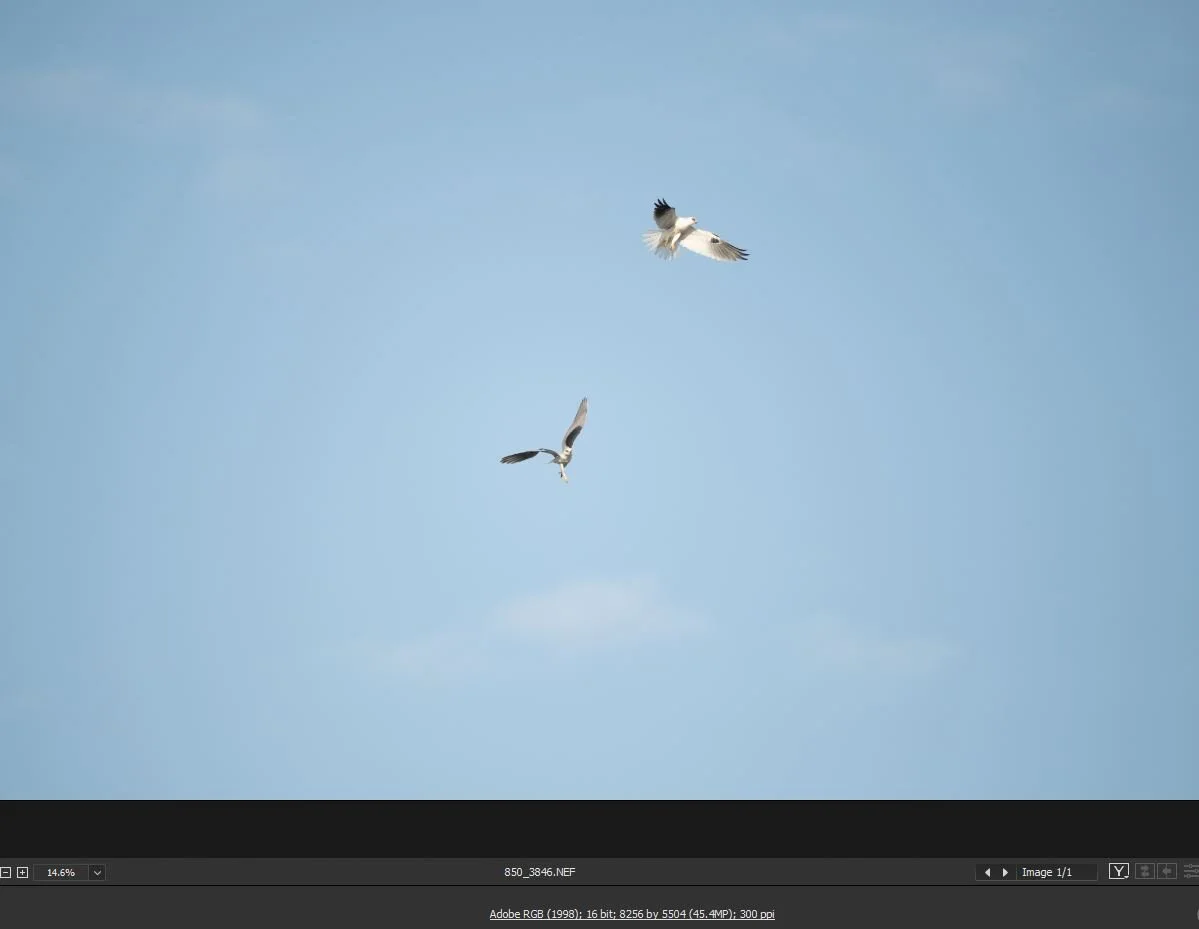 Some Observations on Depth of Field and Distance — Linda Murdock ...