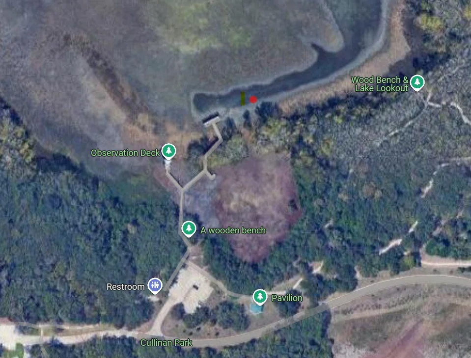 More News About Limpkins at Cullinan Park! — Linda Murdock Photography