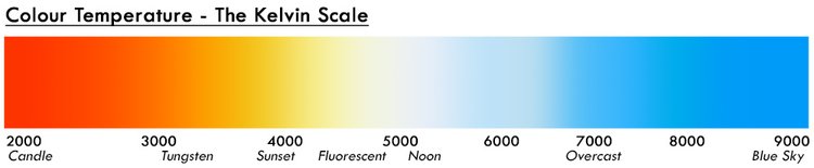 Using White Balance as a Creative Modifier — Jake Hicks Photography
