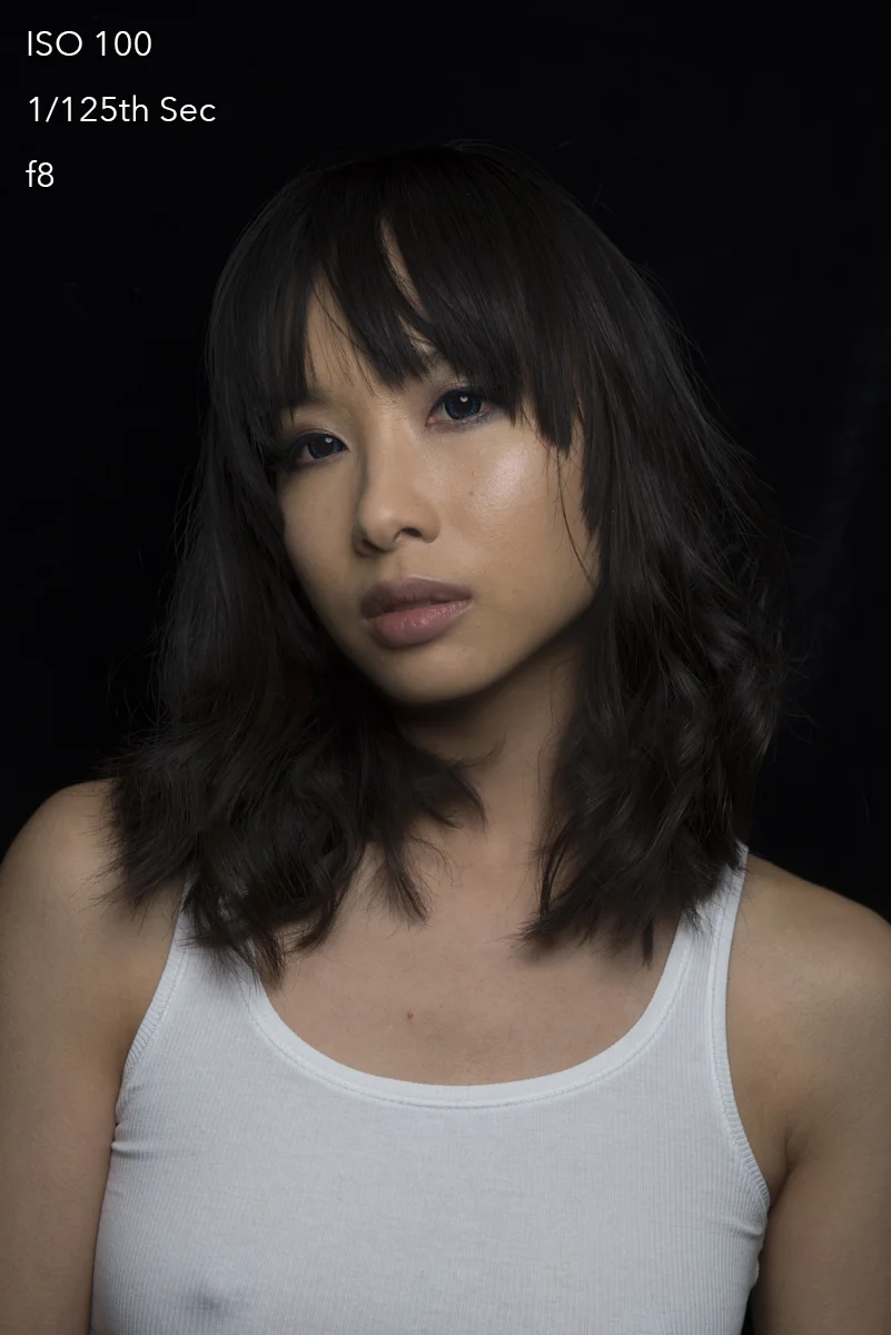 What is TTL and is it any good on the Godox/PixaPro Citi 600TTL — Jake ...