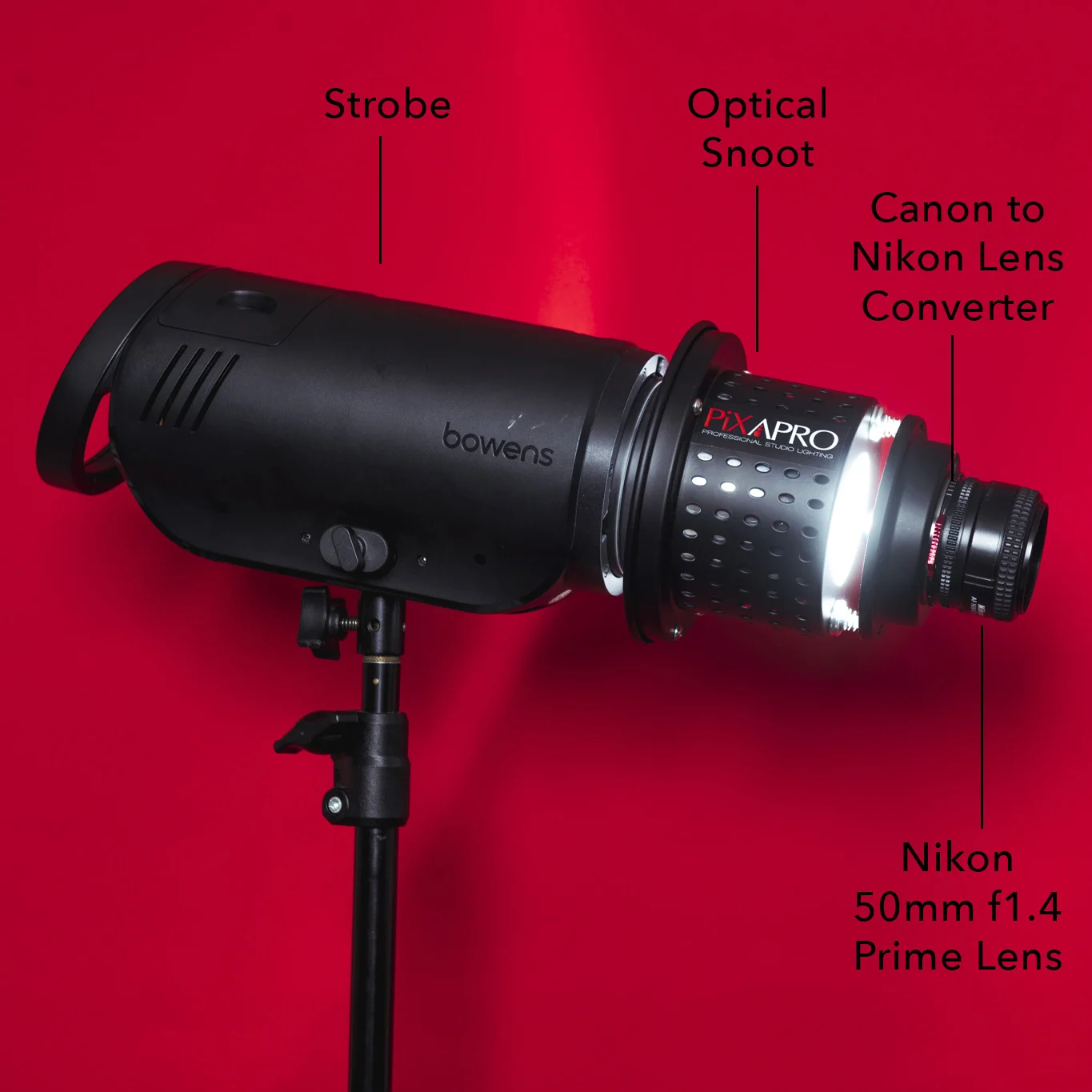 Optical Snoot Review — Jake Hicks Photography