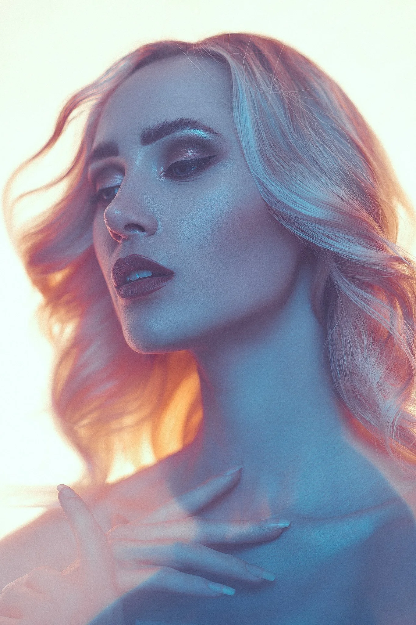 -Tender Bloom- — Jake Hicks Photography