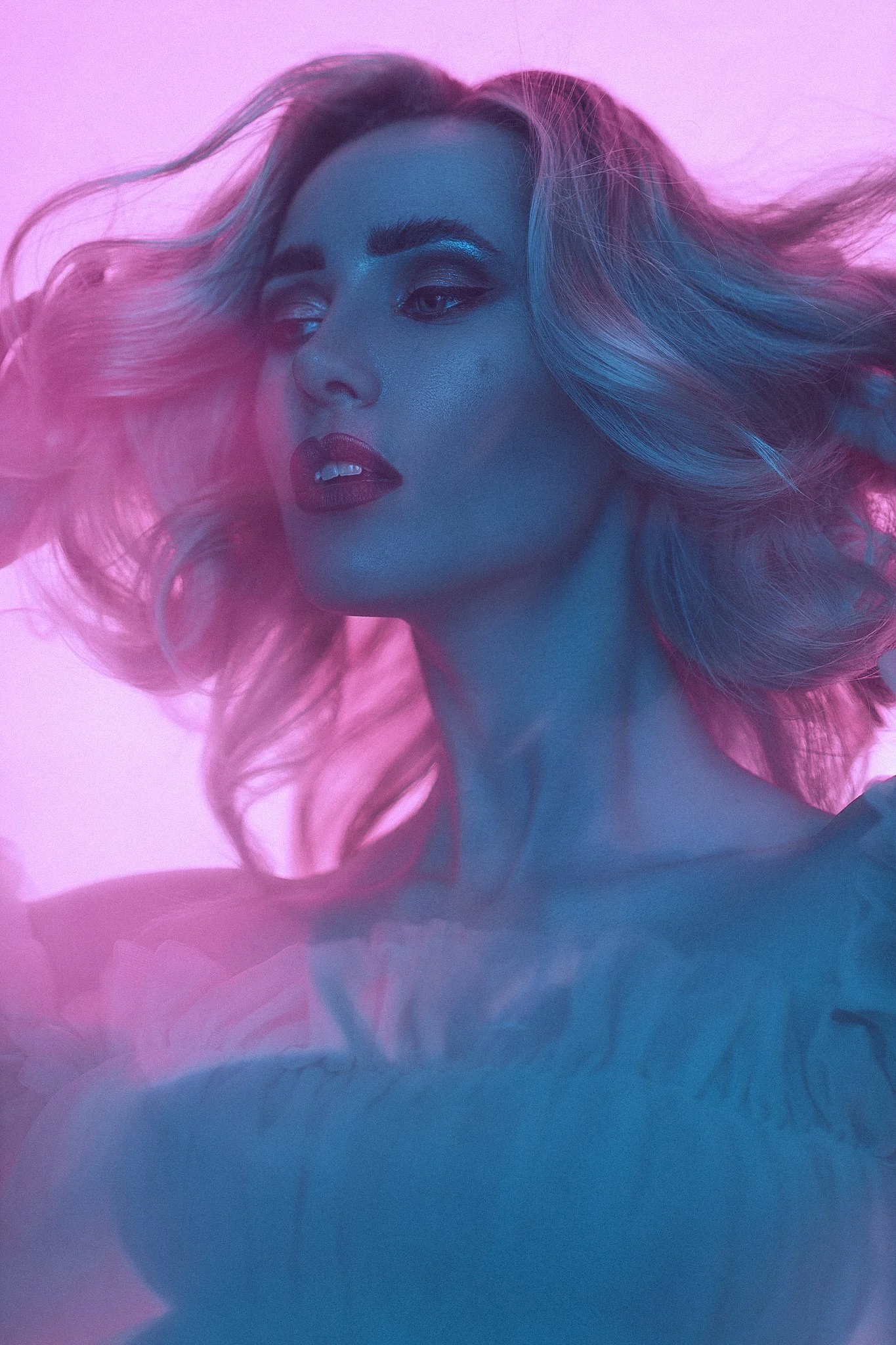 -Tender Bloom- — Jake Hicks Photography