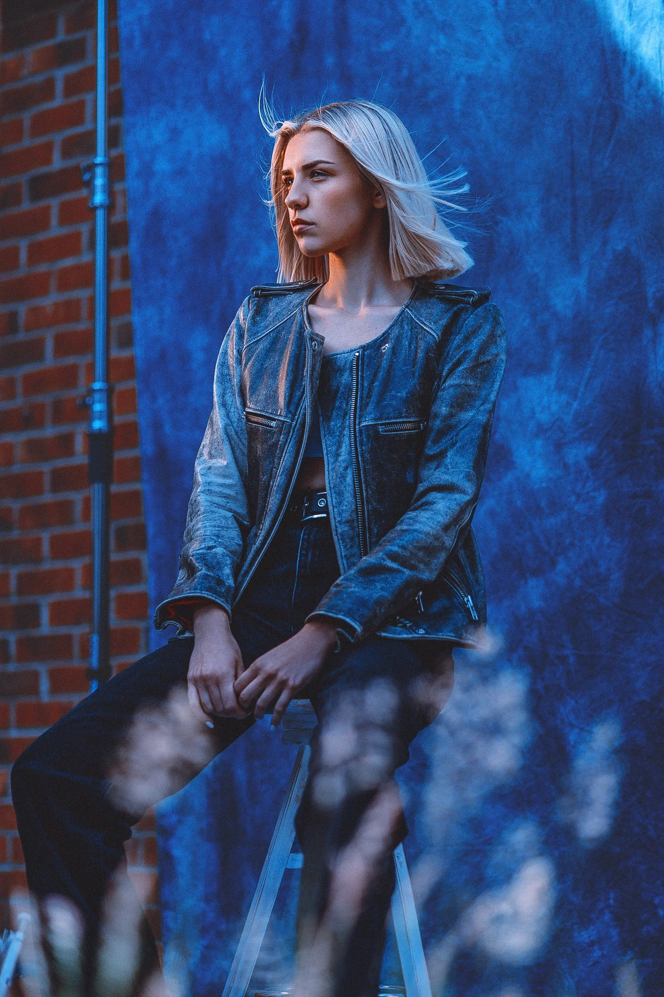 -Adaptive Instincts- — Jake Hicks Photography