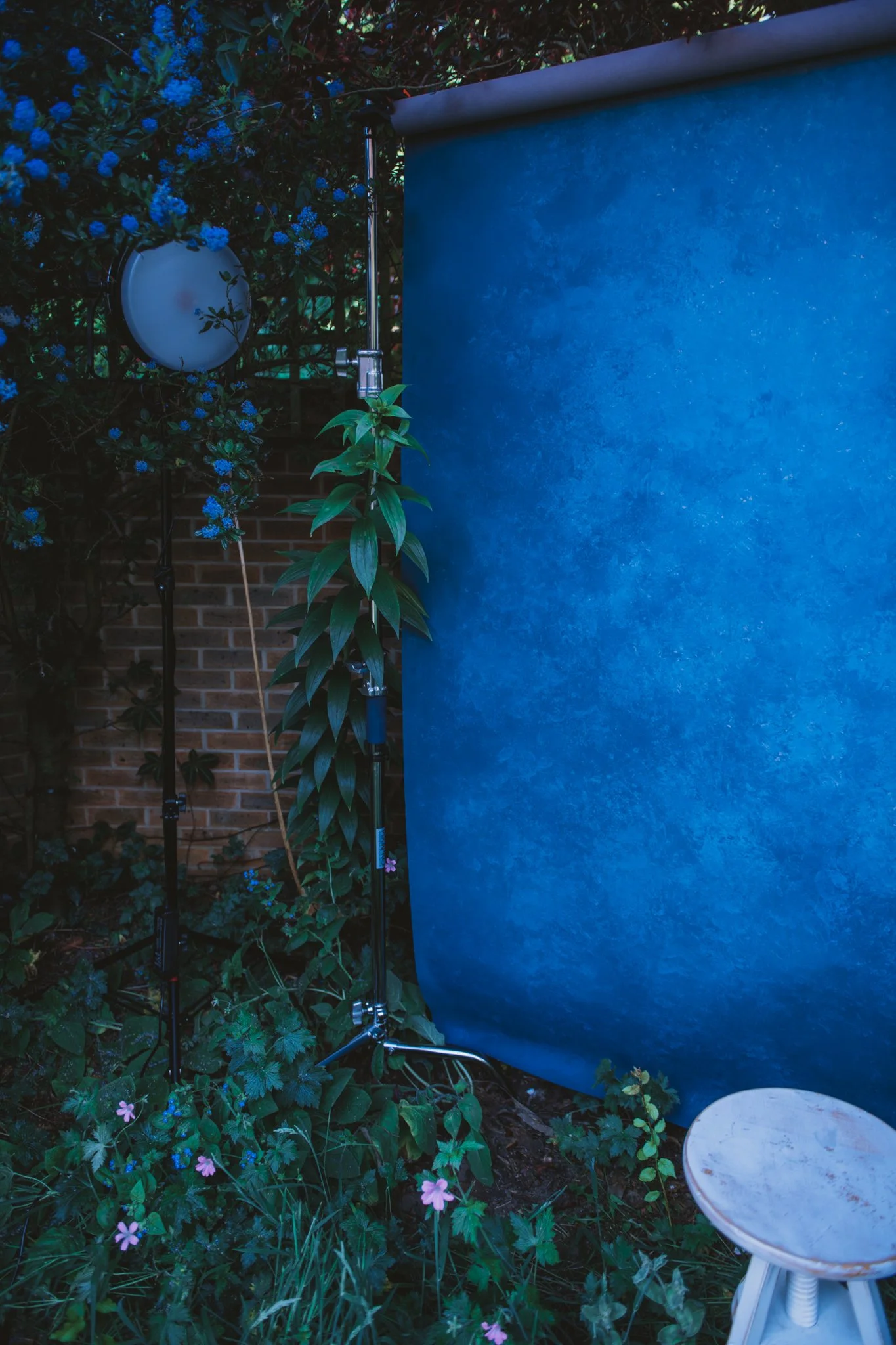 Latest Techniques — Jake Hicks Photography