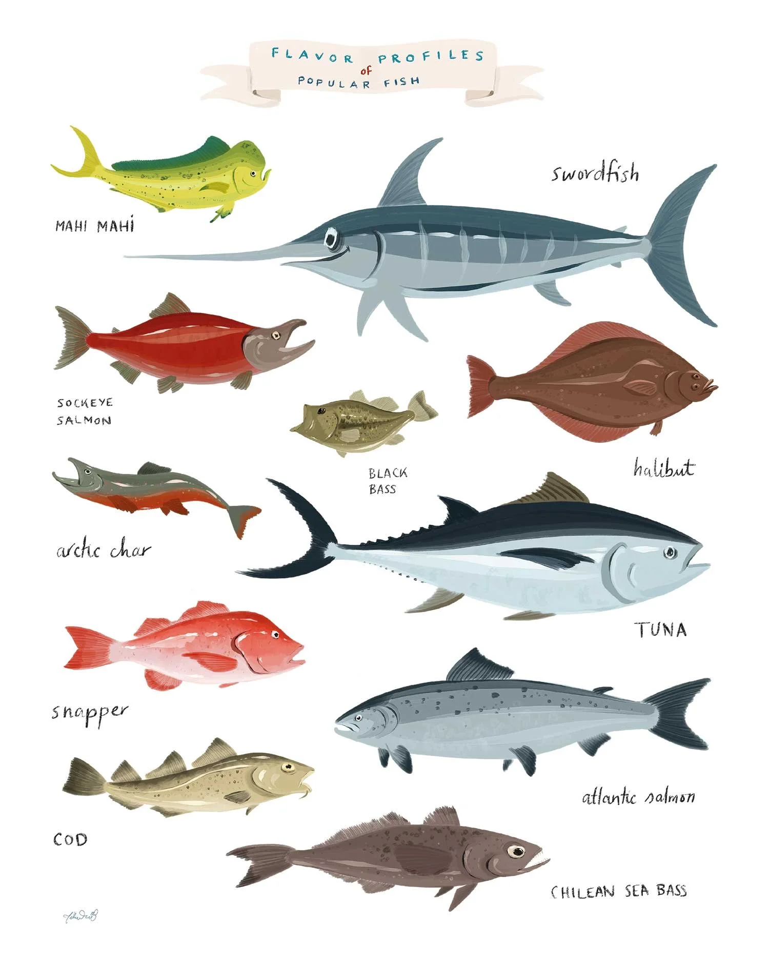 Nature illustration featured in the cooking book "Theater of the ...