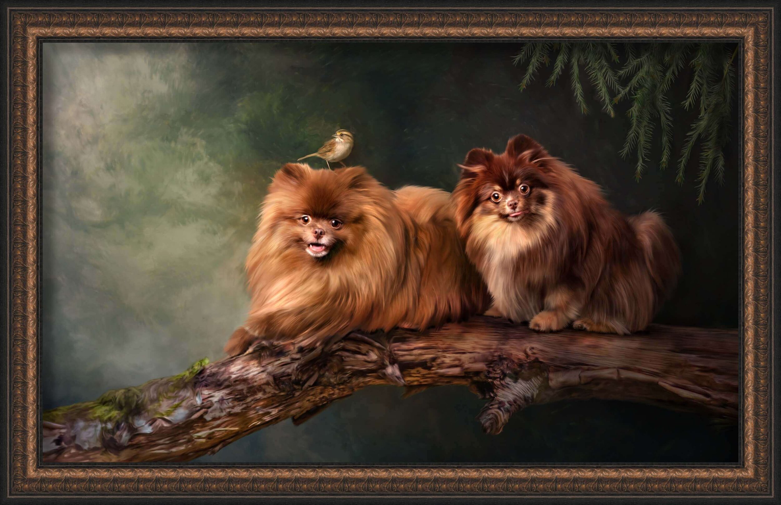 Studio Dog Photography and Post-processing with Susan Gertz and Danica ...