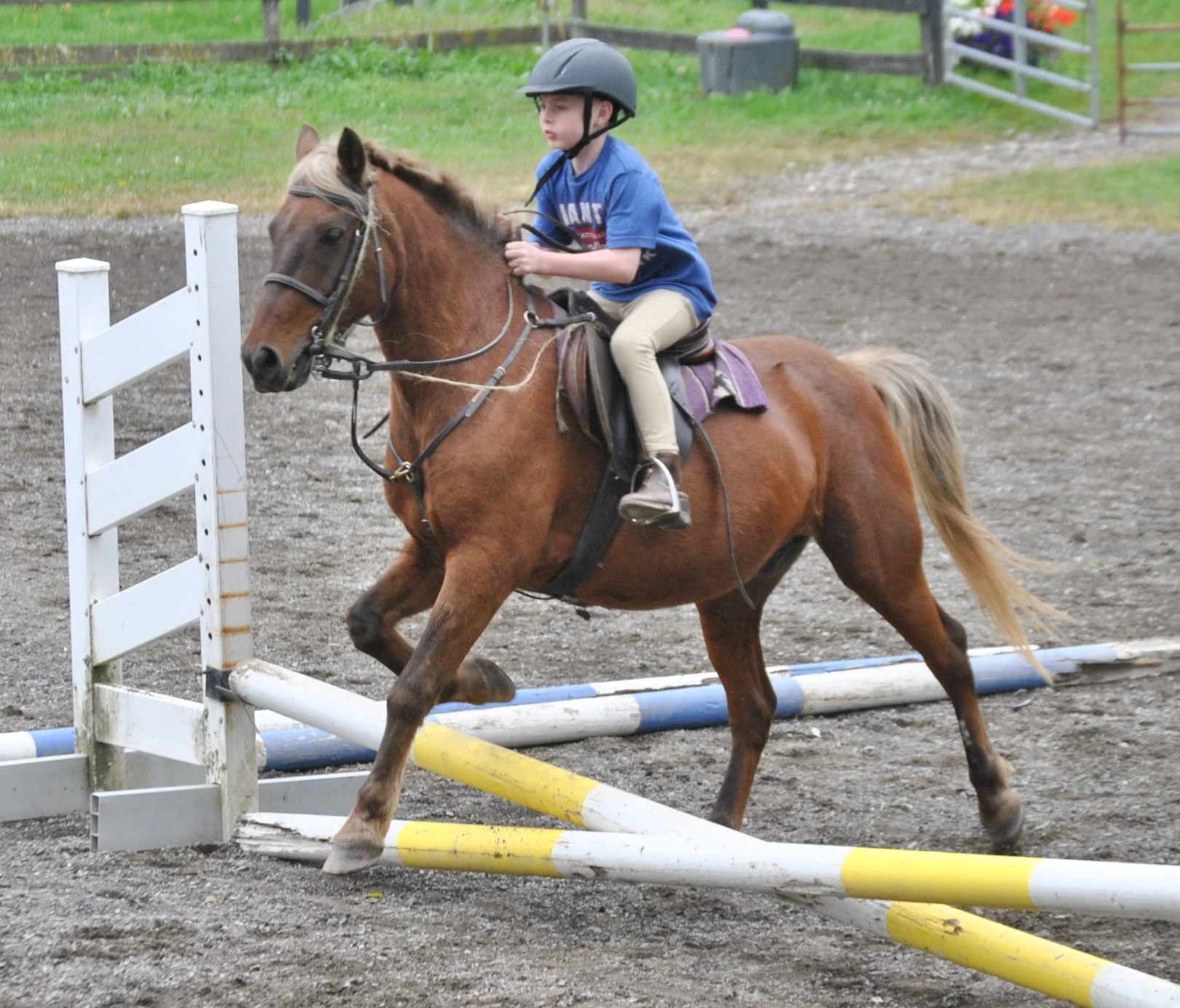 Summer Programs — Rivendell Riding Academy