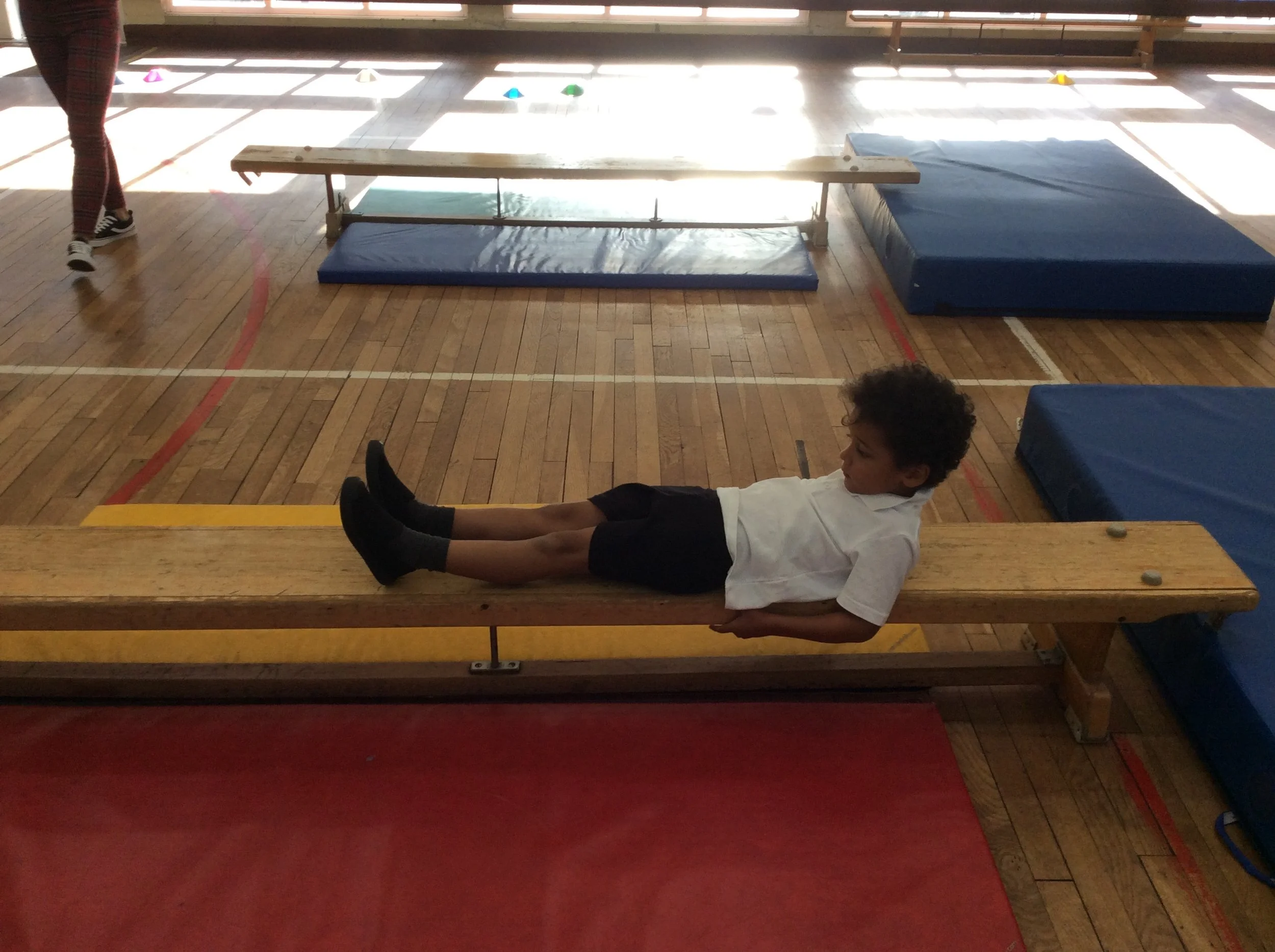 P2 are loving using the gymnastics equipment! — Holywood Primary School