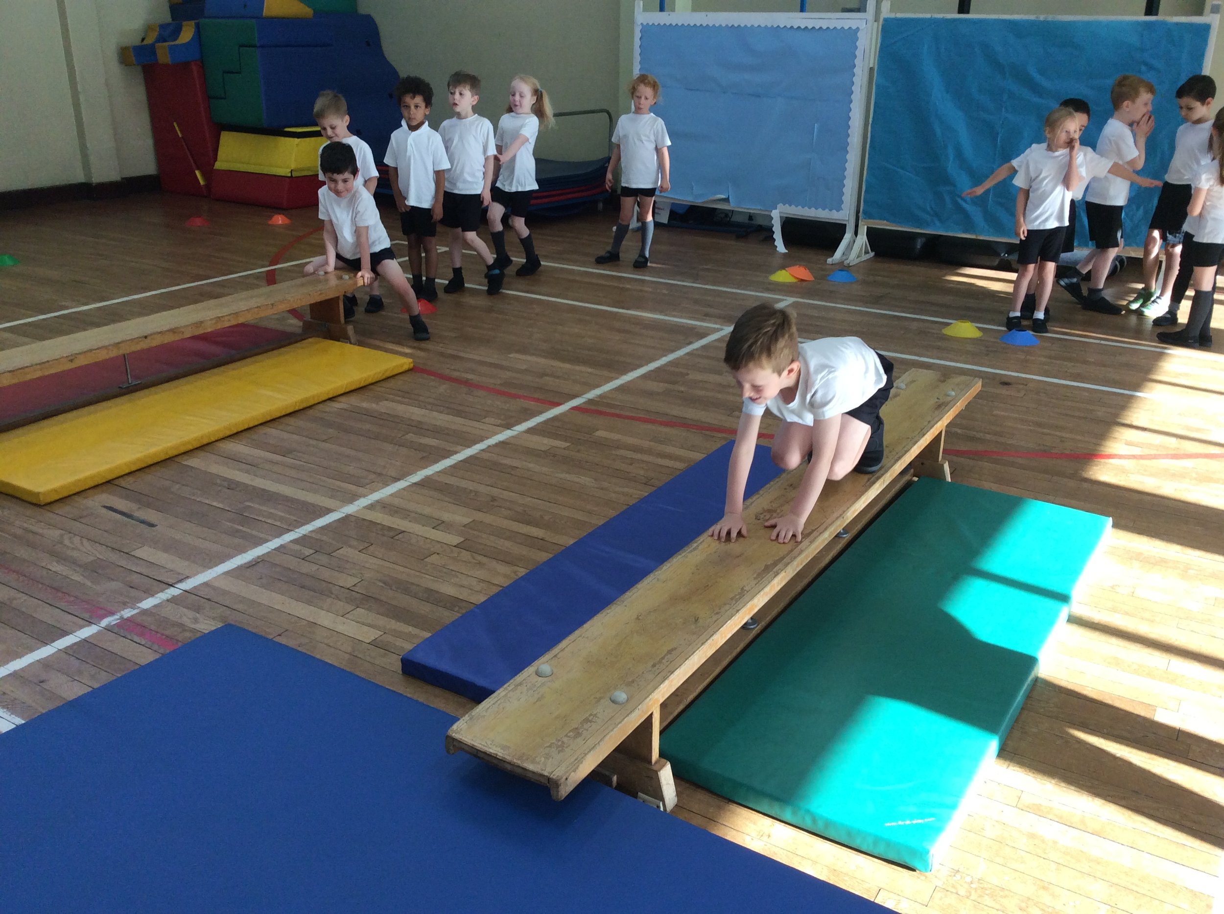 P2 are loving using the gymnastics equipment! — Holywood Primary School