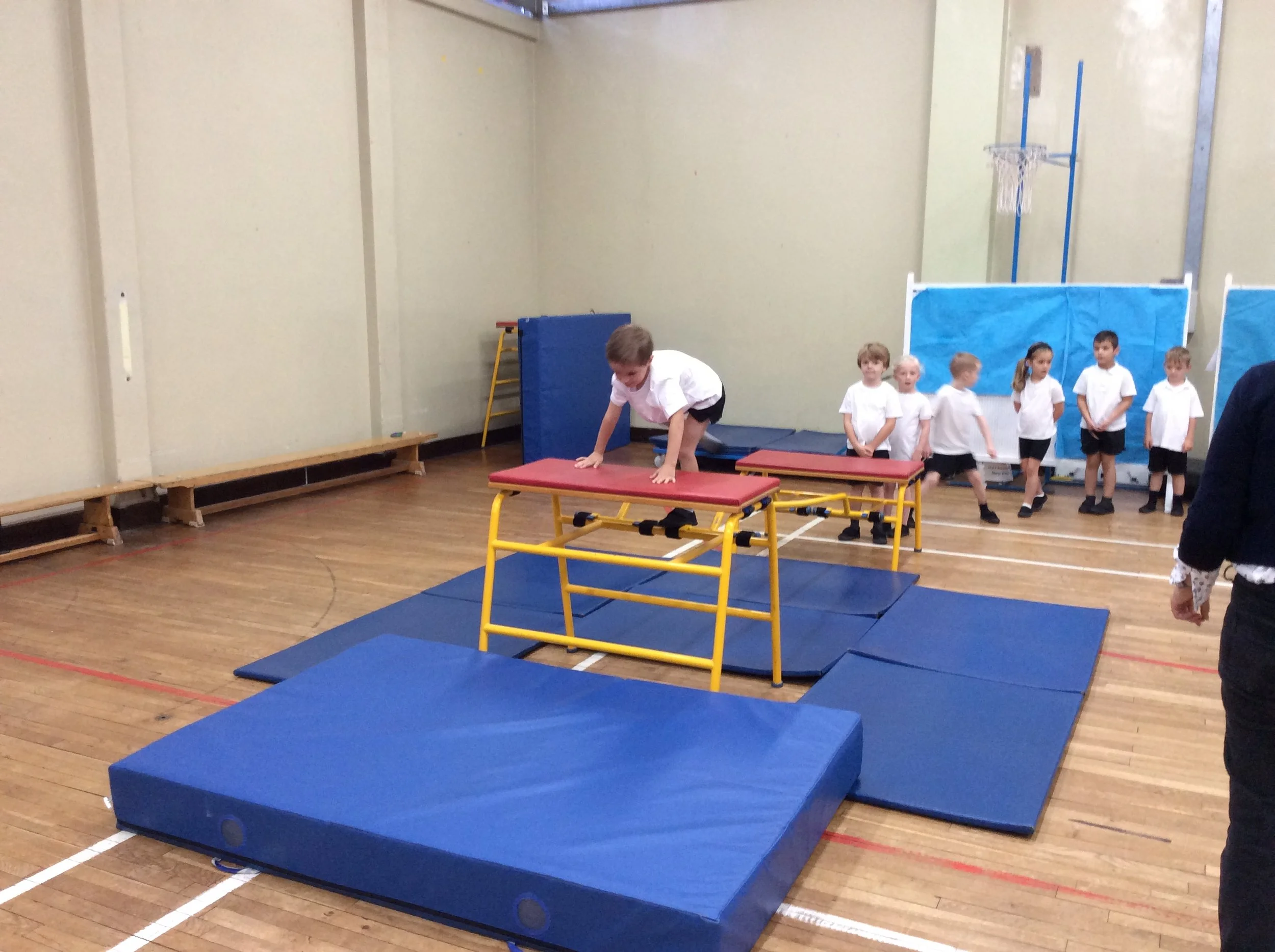 P2 are loving using the gymnastics equipment! — Holywood Primary School