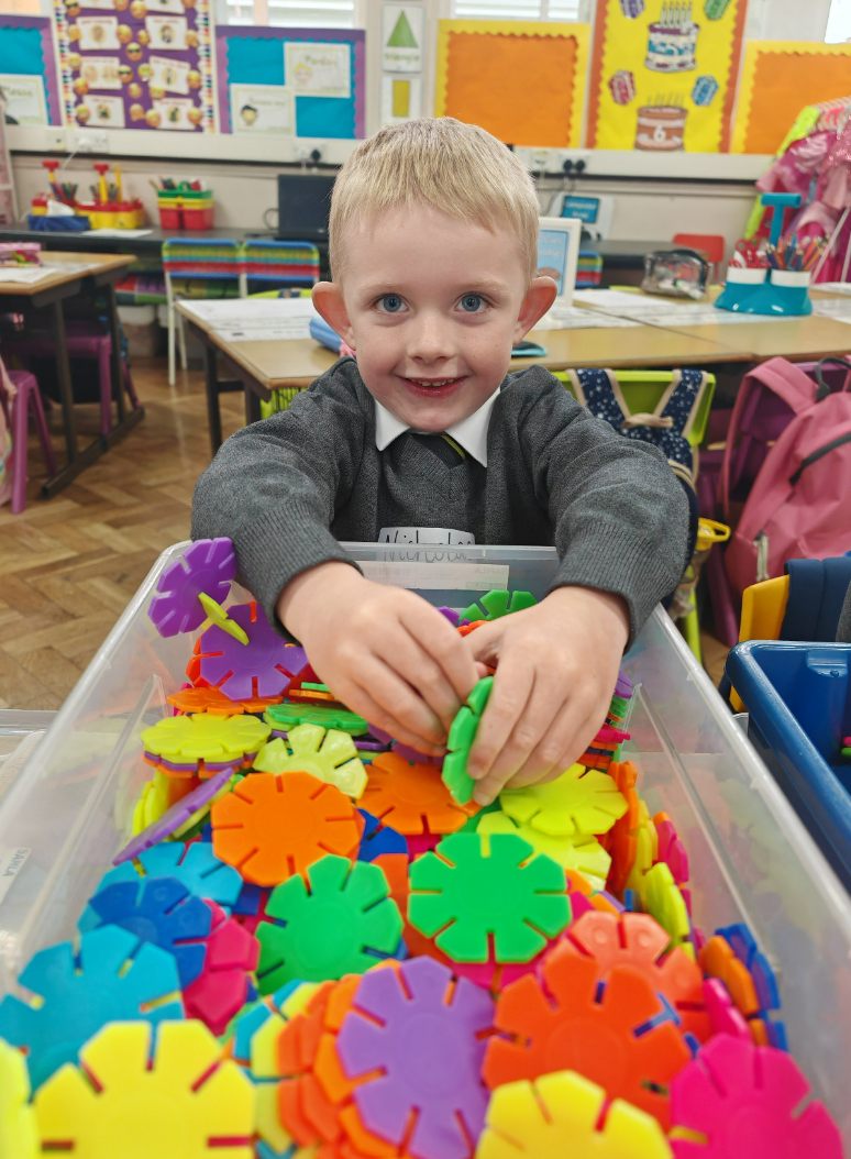 Gallery — Holywood Primary School