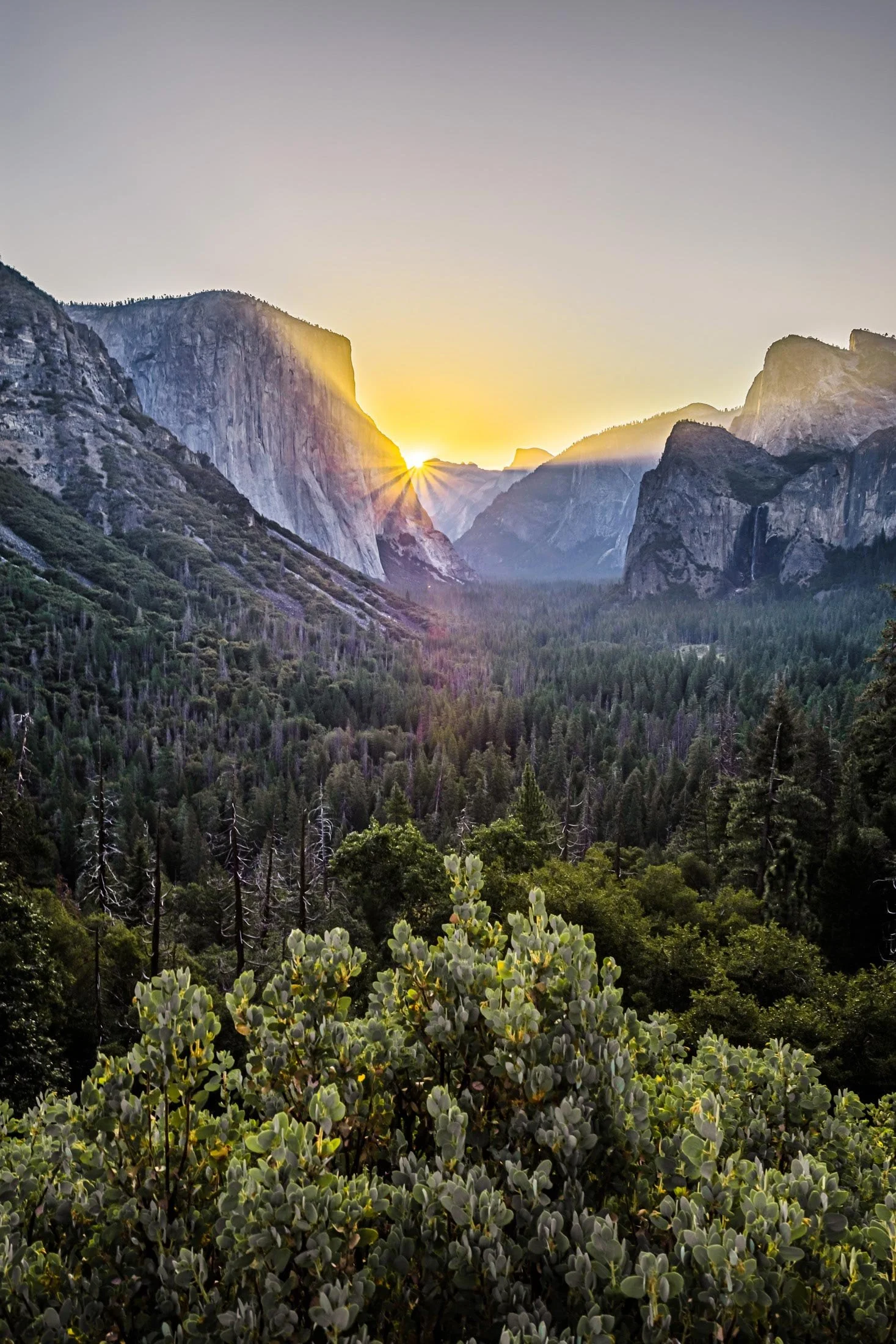 Yosemite Valley Sunrise