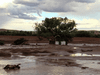 Images and video of storm that hit Geraldton yesterday - Everything ...