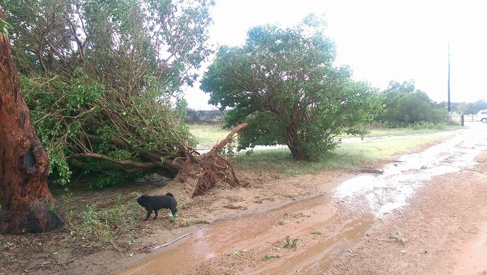 Images and video of storm that hit Geraldton yesterday - Everything ...
