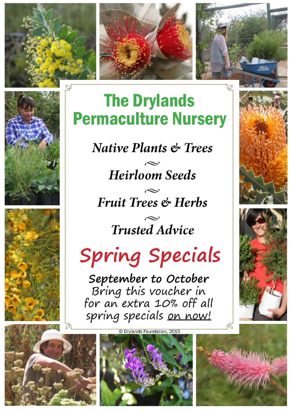 6 native plants that are easy to grow in your Geraldton garden and look ...