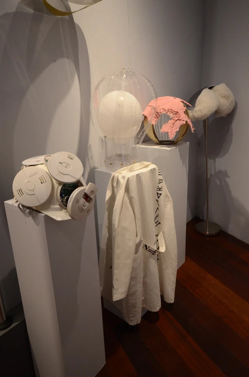 Intemperate Zone: a Collaborative Installation with sculptor Nancy ...