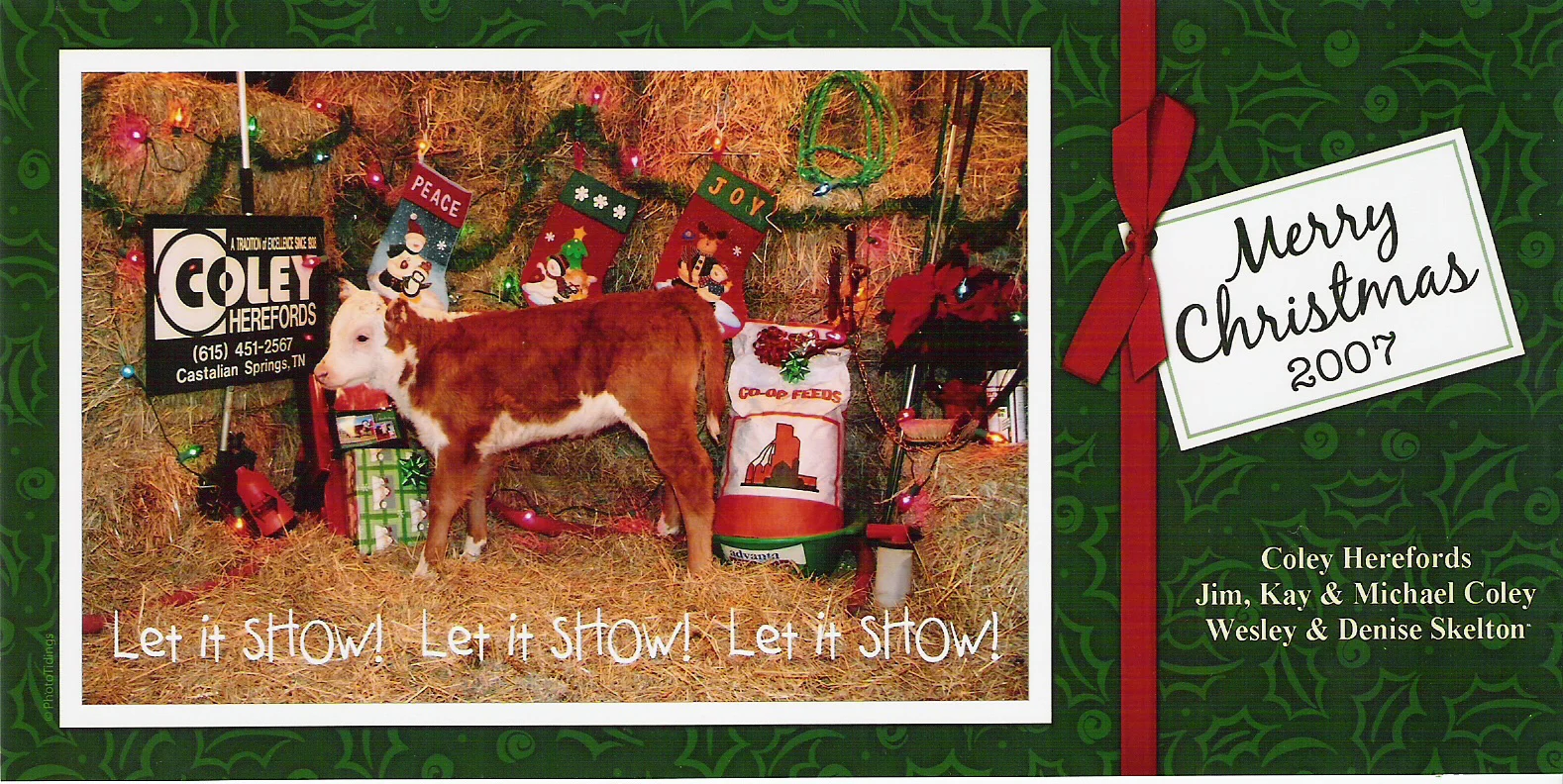 Christmas Cards — Coley Herefords