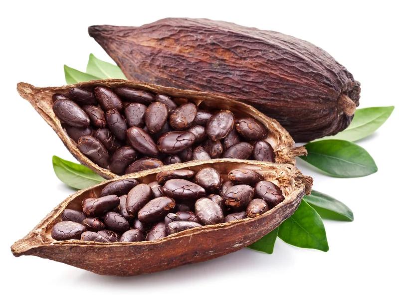 Why I'm in love with Raw Cacao and you should be too! — Nutritious Yogi