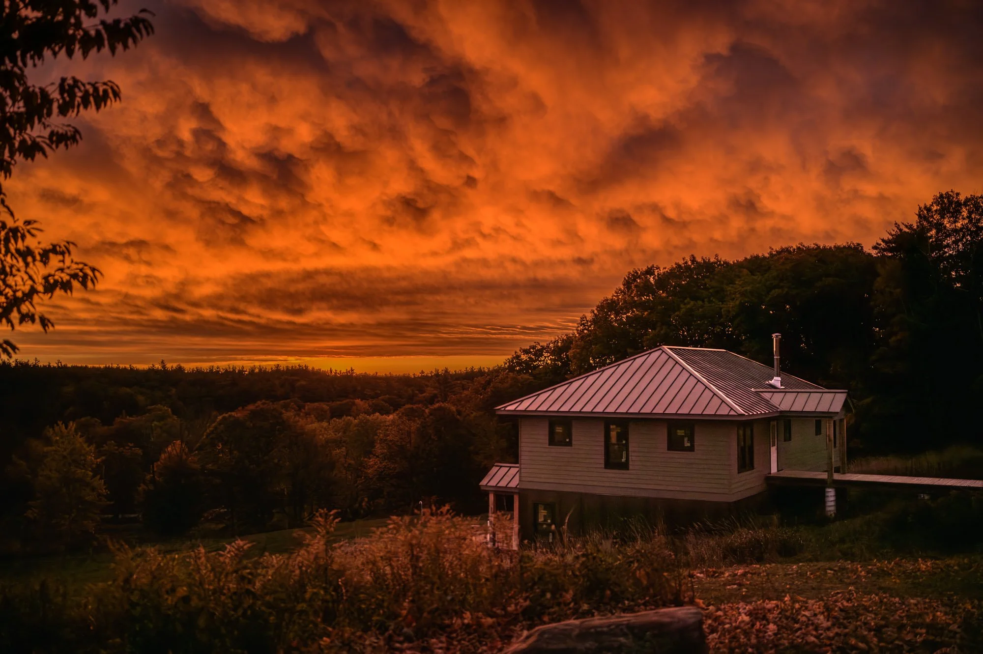Temple Forest Monastery