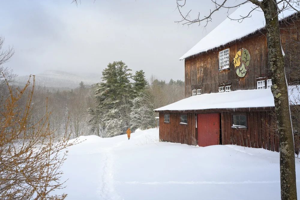 Temple Forest Monastery