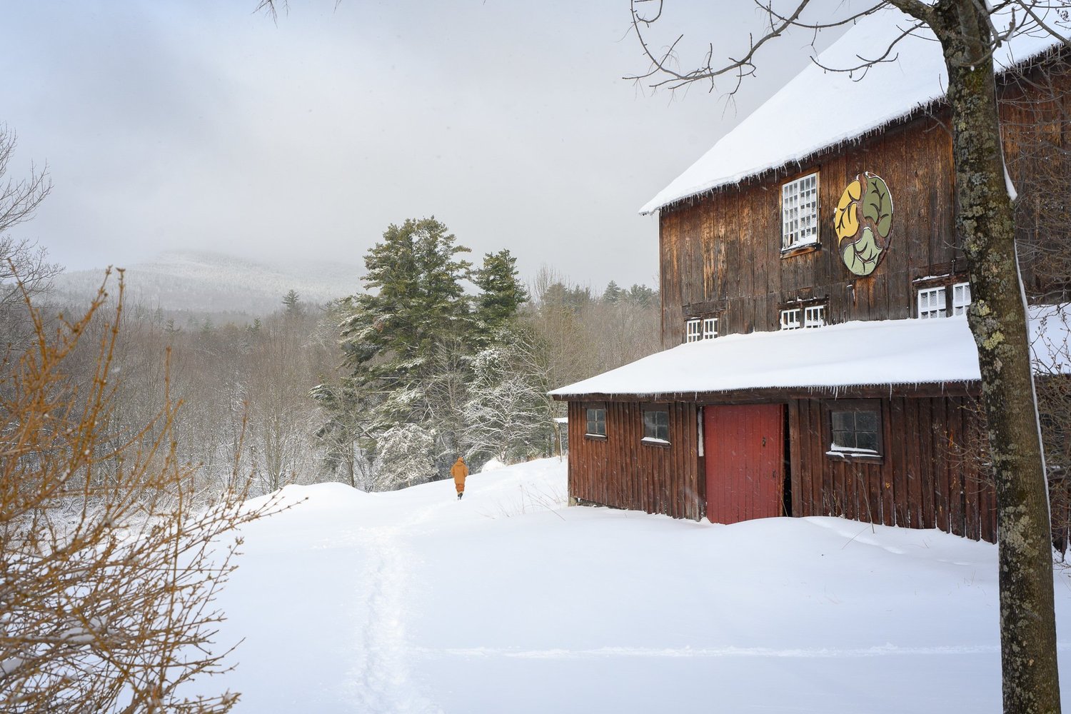 Temple Forest Monastery