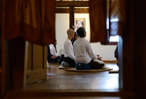 News — Temple Forest Monastery