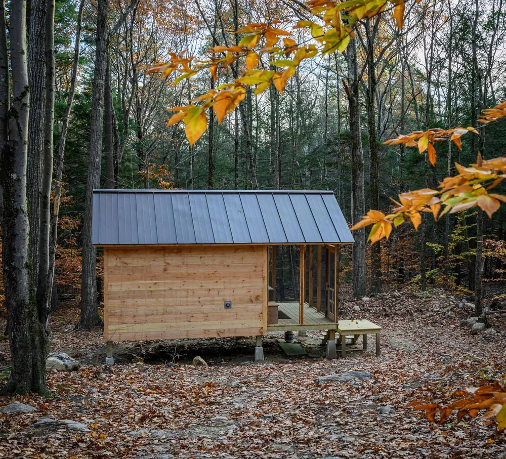 Temple Forest Monastery